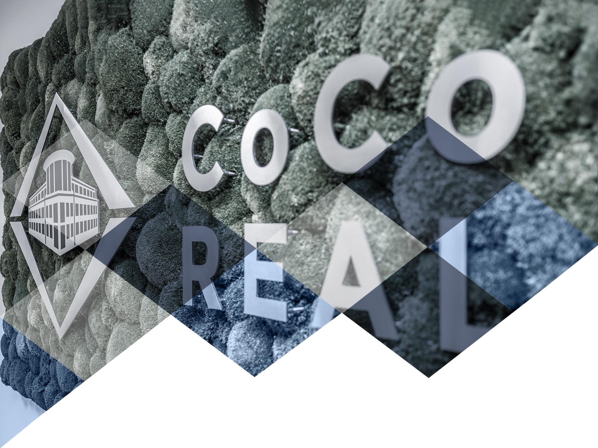CoCo REAL | Unser Unternehmen